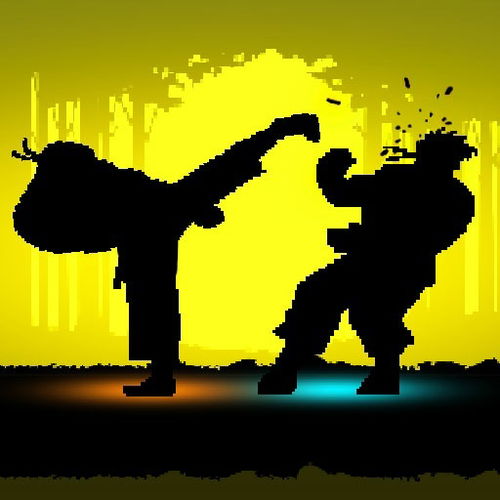 2 Player Fighting Games 👊 - Play Now on Blipzi